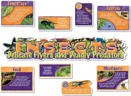 Insects Bulletin Board Set | National School Products
