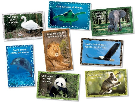 God, Our Creator Bulletin Board | National School Products