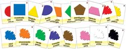 Bilingual Jumbo Flash Cards | National School Products