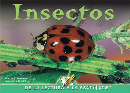 Insectos Spanish Lap Book