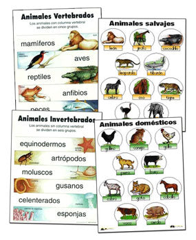 Animal Kingdom Spanish Chart Set | National School Products