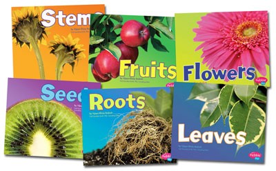 Plant Parts Library | National School Products