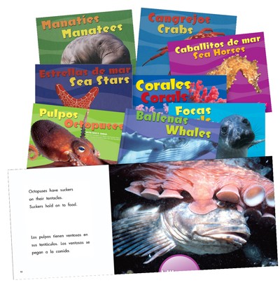 Under The Sea Bilingual Library Bound Set | National School Products