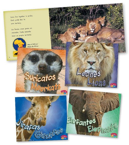 African Animals Bilingual Library Bound Book Set | National School Products