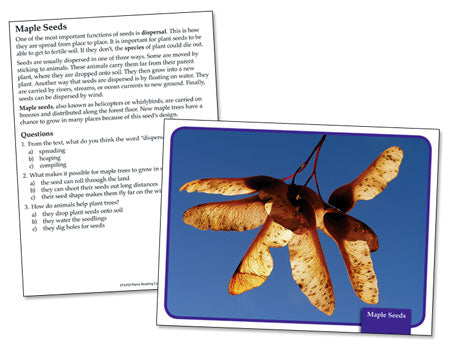 Plants Reading Comprehension Science Cards | National School Products