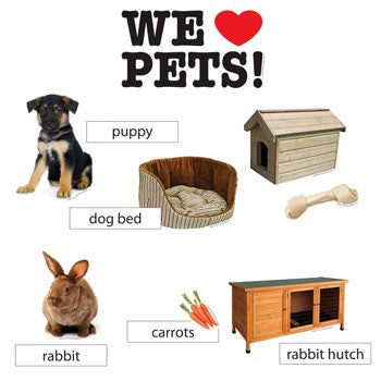 Pets Mini Bulletin Board Set | National School Products