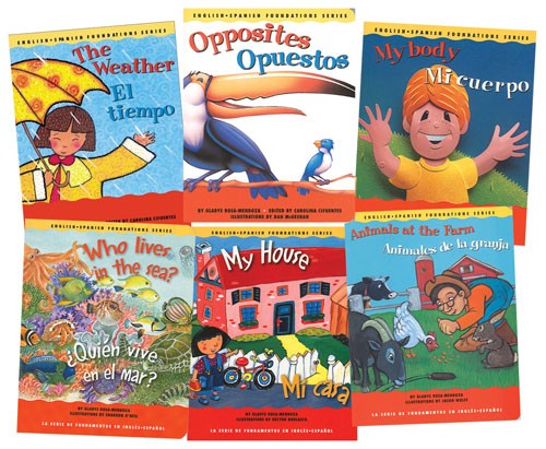 Early Concepts Bilingual Board Book Set | National School Products