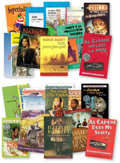 Spanish and English Chapter Books Set 3 | National School Products