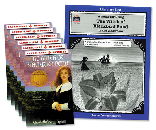Witch of Blackbird Pond 6 Books & Literature Guide | National School ...