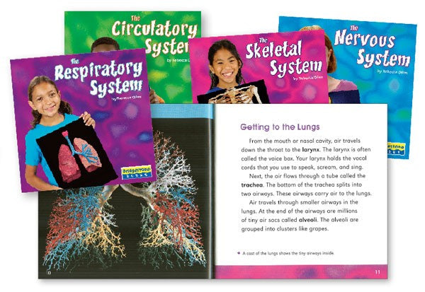 Human Body Systems Book Set | National School Products