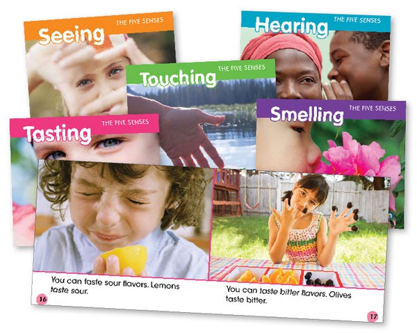 The Five Senses Book Set