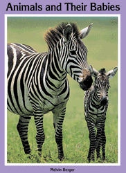Animals and Their Babies Big Book | National School Products