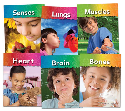 Human Body Book Set | National School Products