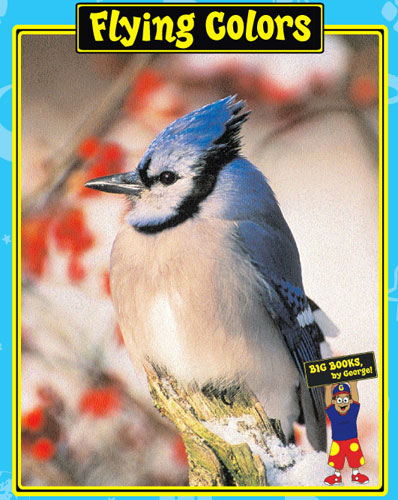 Flying Colors English Big Book | National School Products