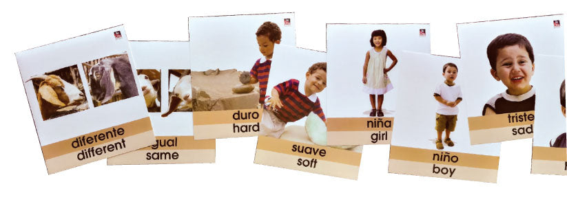 Opposites / Opuestos Set 2 Jumbo Flashcards | National School Products