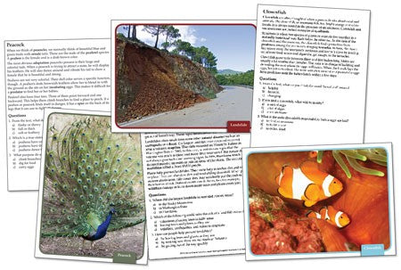 Reading Comprehension Science Cards Set | National School Products