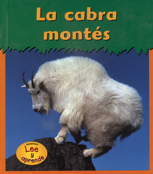 Mountain Goats | National School Products