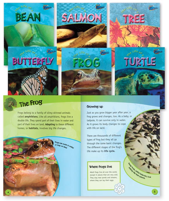 The Life of a... Library 1