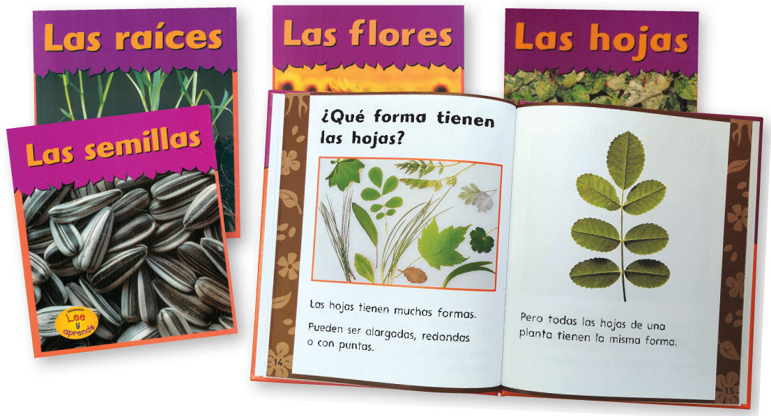 Las Plantas (Plants) Set of 3 | National School Products
