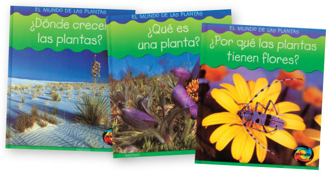 World of Plants / El mundo de las plantas | National School Products