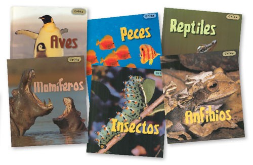 Animal Babies Spanish Book Set OF 4 | National School Products