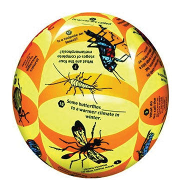 INSECTS CLEVER CATCH BALL | National School Products