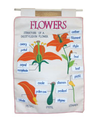 Flowers Wall Chart | National School Products