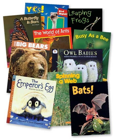 Animals Big Books Set | National School Products