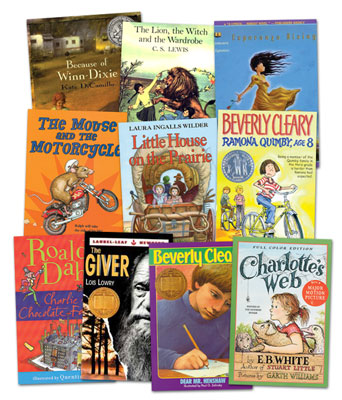 Chapter Book Set 1 English Set of 10 | National School Products