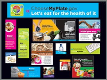 USDA MyPlate Bulletin Board Kit | National School Products