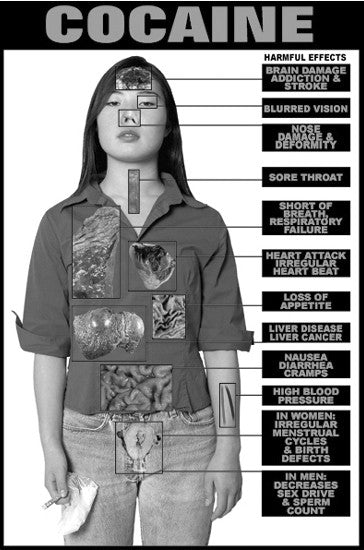 Drug Education Cocaine Tear off Pad | National School Products