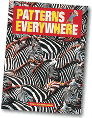 Patterns Everywhere Big Book | National School Products