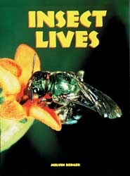 Insect Lives Student Book Set | National School Products