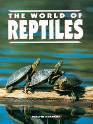 The World of Reptiles Big Book | National School Products