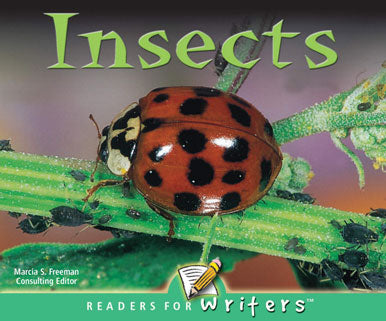 INSECTS ENGLISH LAP BOOK | National School Products
